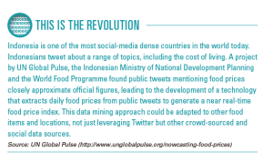 Data Revolution Report Un Data Revolution